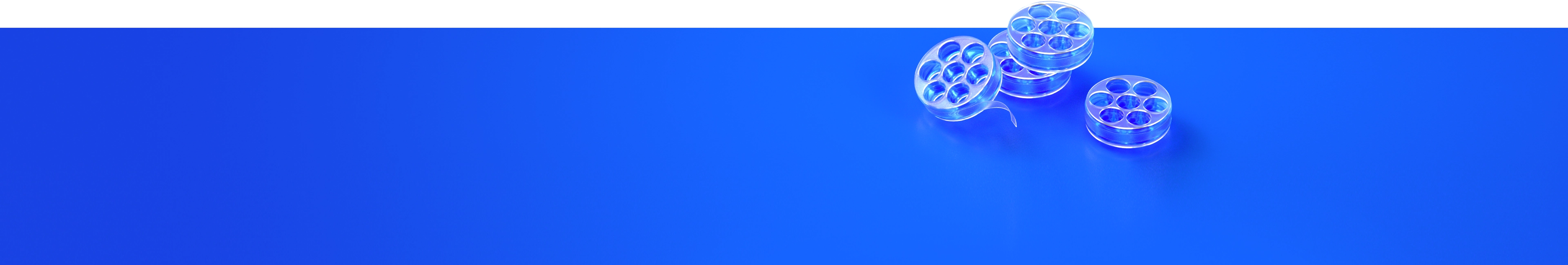 experience-banner.png (3840×650)
